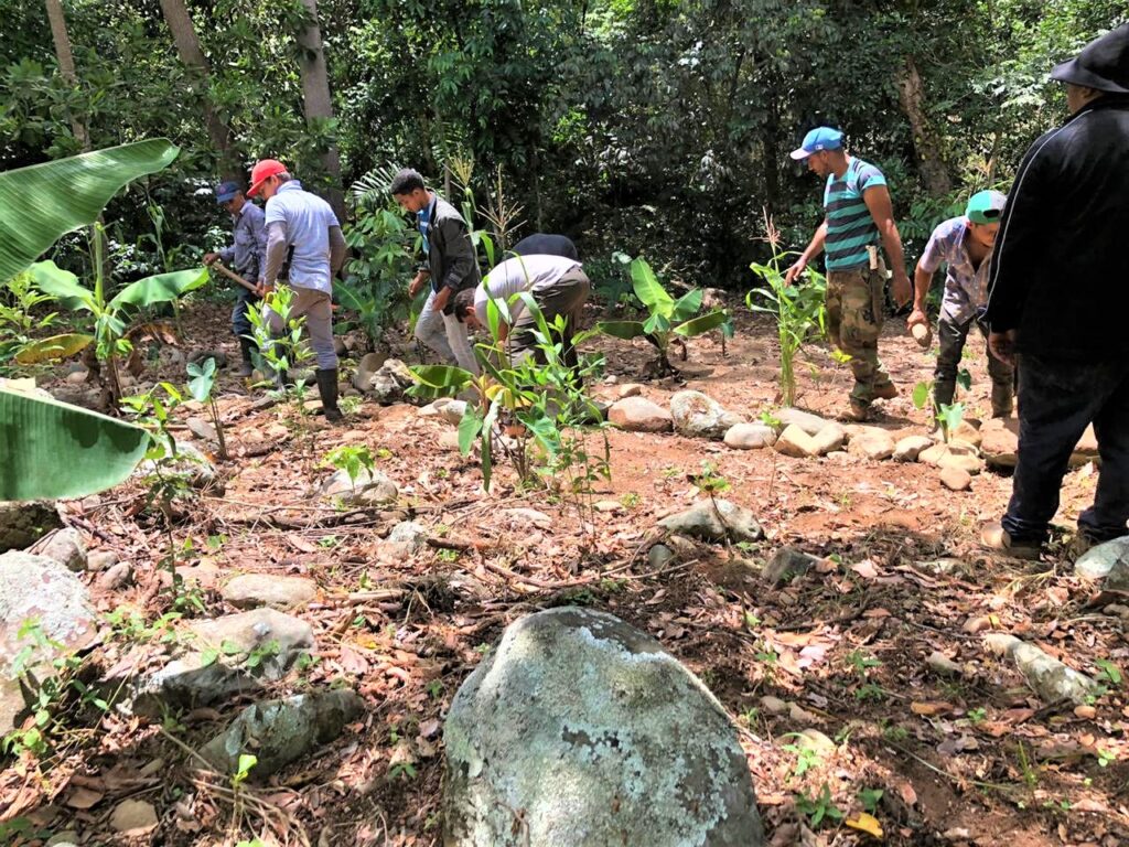 Práctica de conservación de suelo y agua - Centro Naturaleza